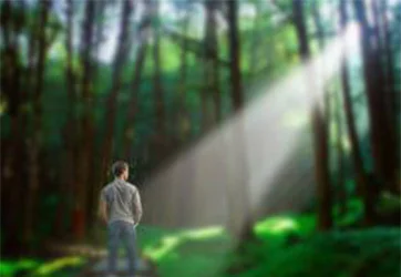 Visual defects and correction - Schwind